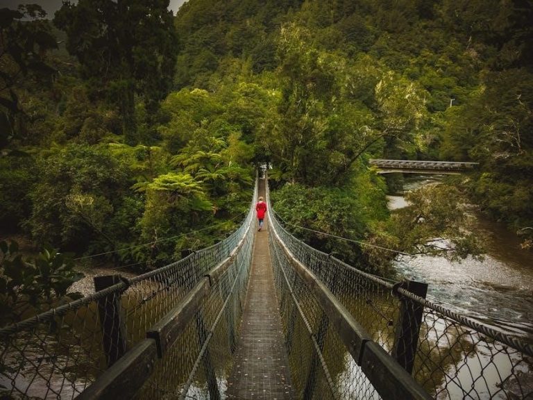 New River Trail Map PDF - Download Free Trail Guide